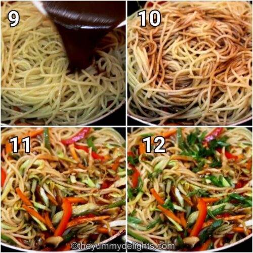 Vegetable Lo Mein Recipe (Quick & Easy) - The Yummy Delights