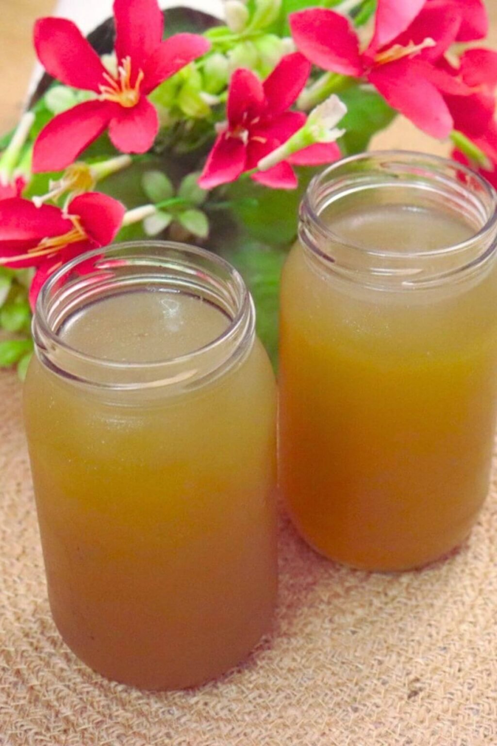 Homemade Chicken Stock Recipe - The Yummy Delights